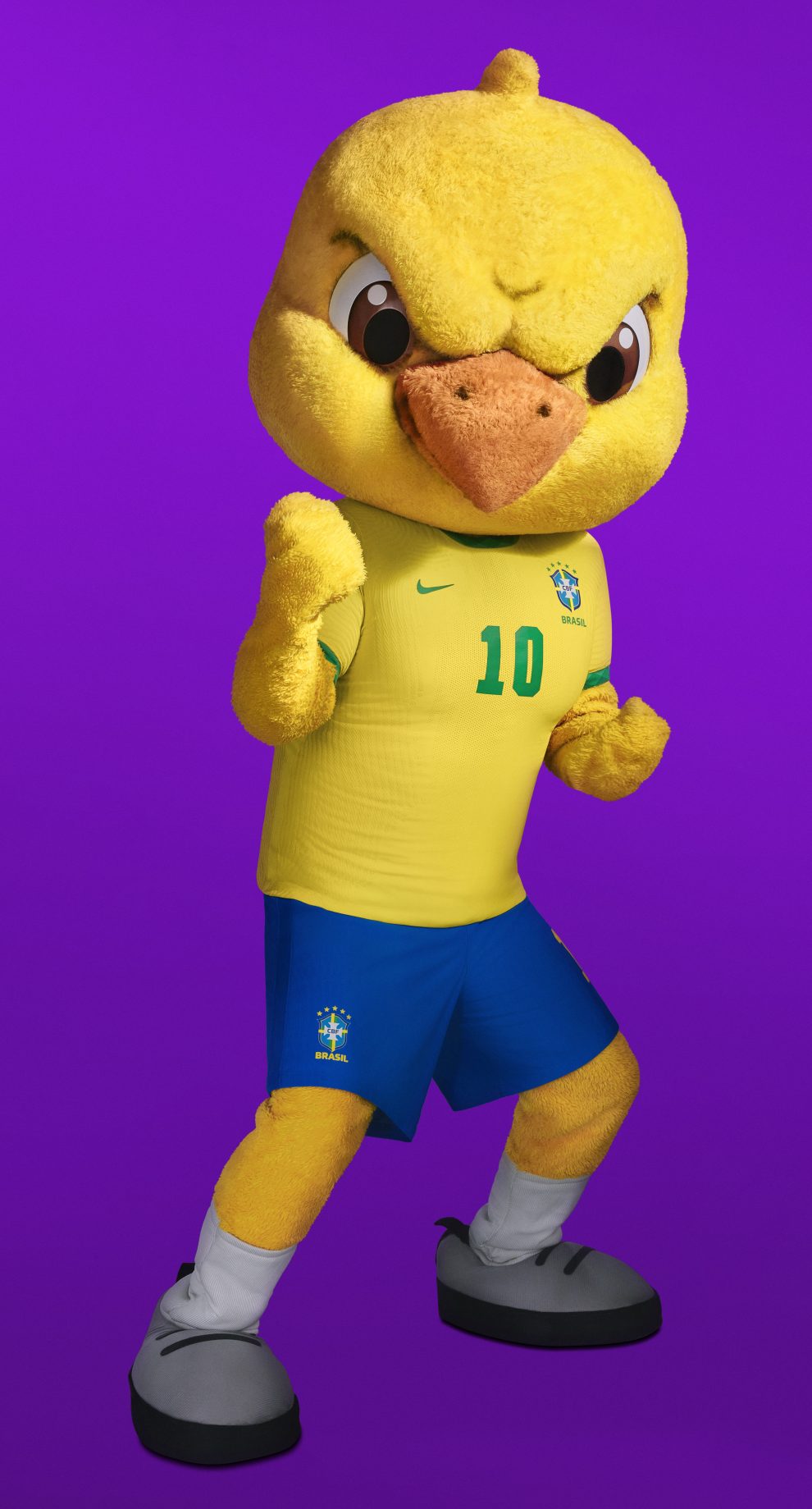 Canarinho da Seleção Brasileira vai passar por Salvador; saiba onde e ...